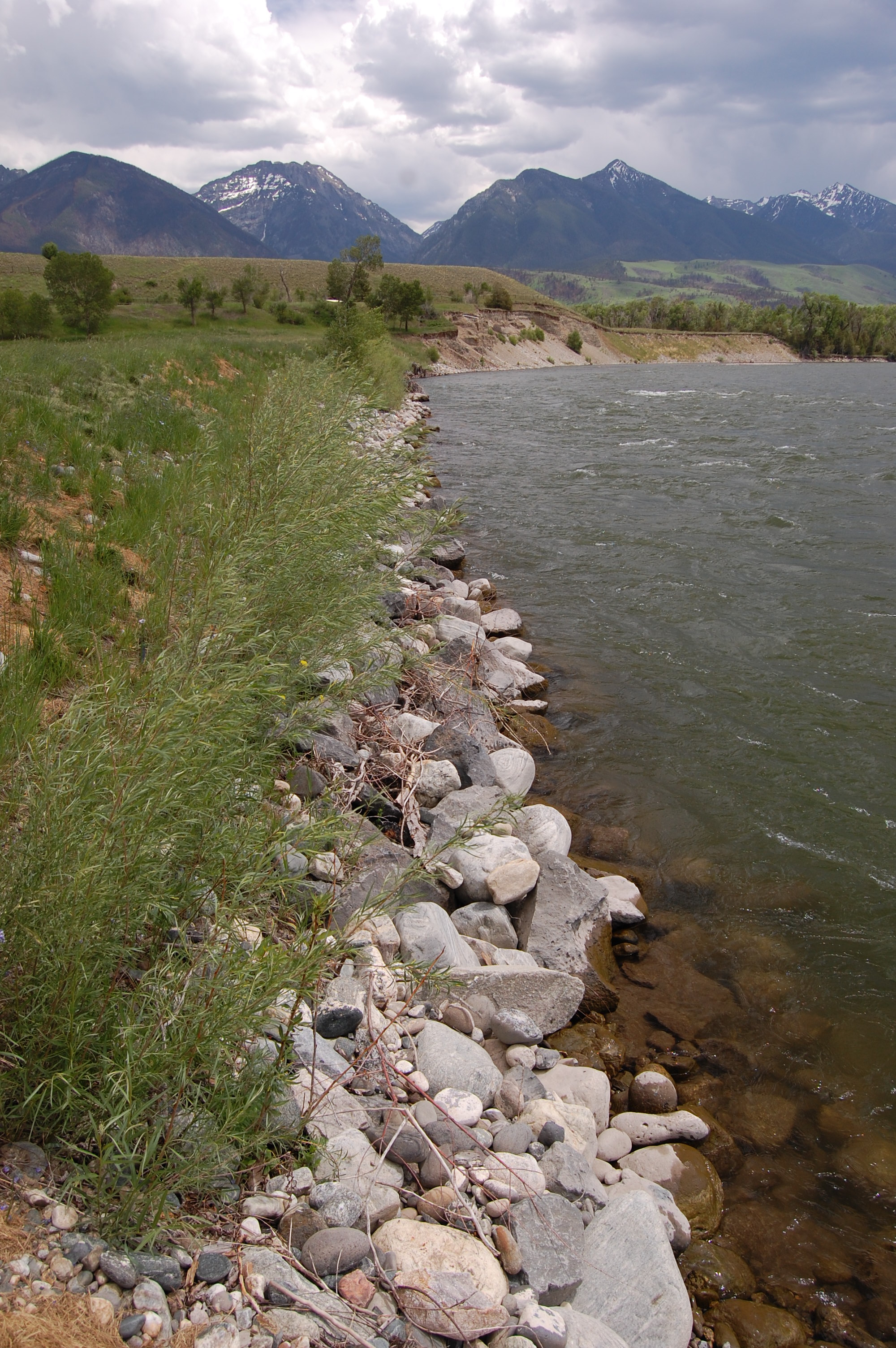 Yellowstone River Levee Reconstruction and Pre-emptive Bank ...
